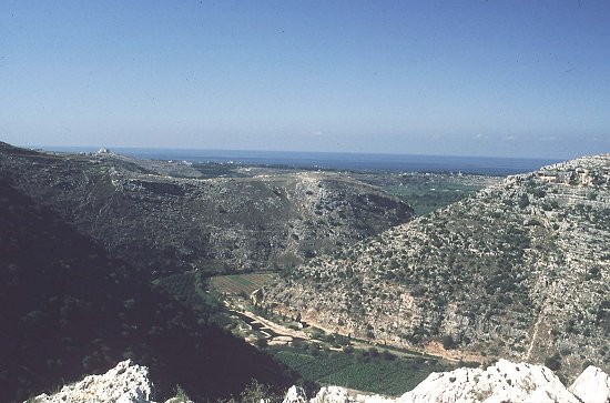The Dead Sea Transform in Lebanon